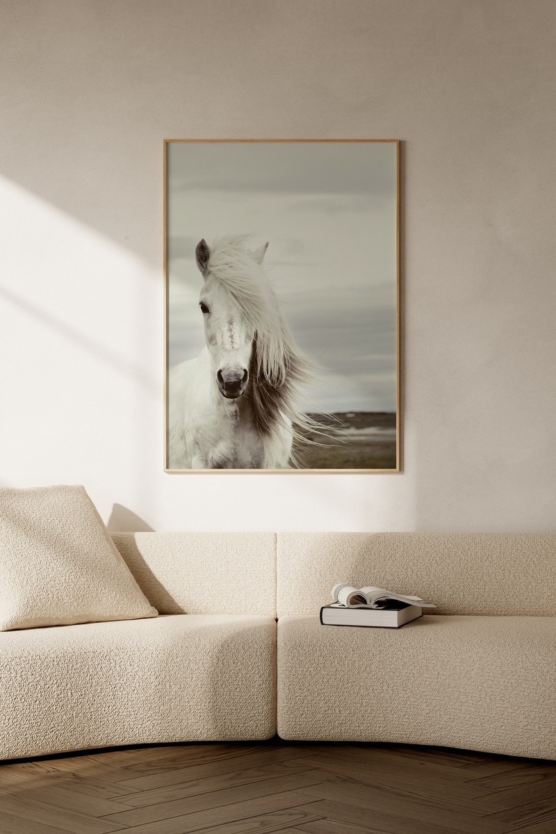 Pacific Prints | Framed Art Prints